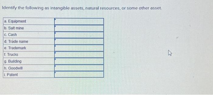 Solved Identify the following as intangible assets, natural | Chegg.com