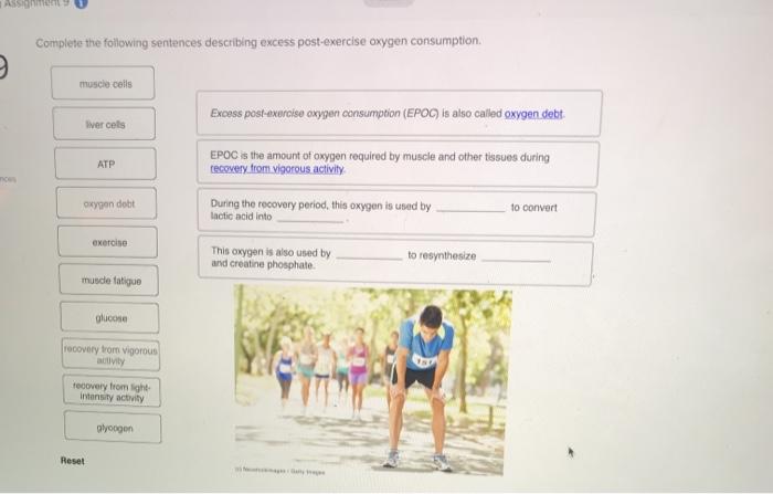 Solved Complete the following sentences describing excess | Chegg.com