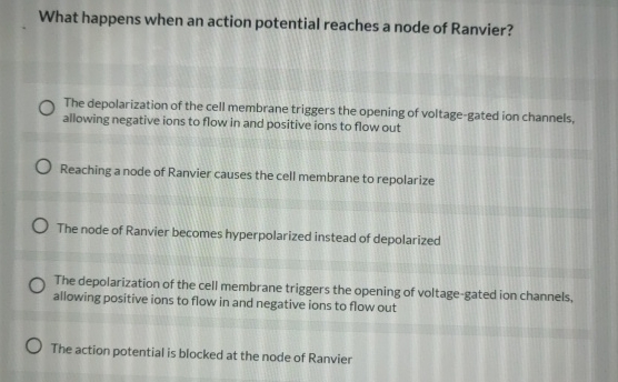 Solved What happens when an action potential reaches a node | Chegg.com