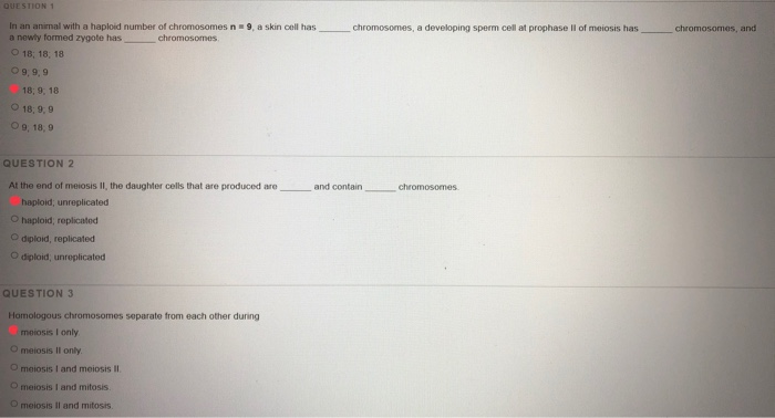 Solved Will someones please check over my work? I have it | Chegg.com
