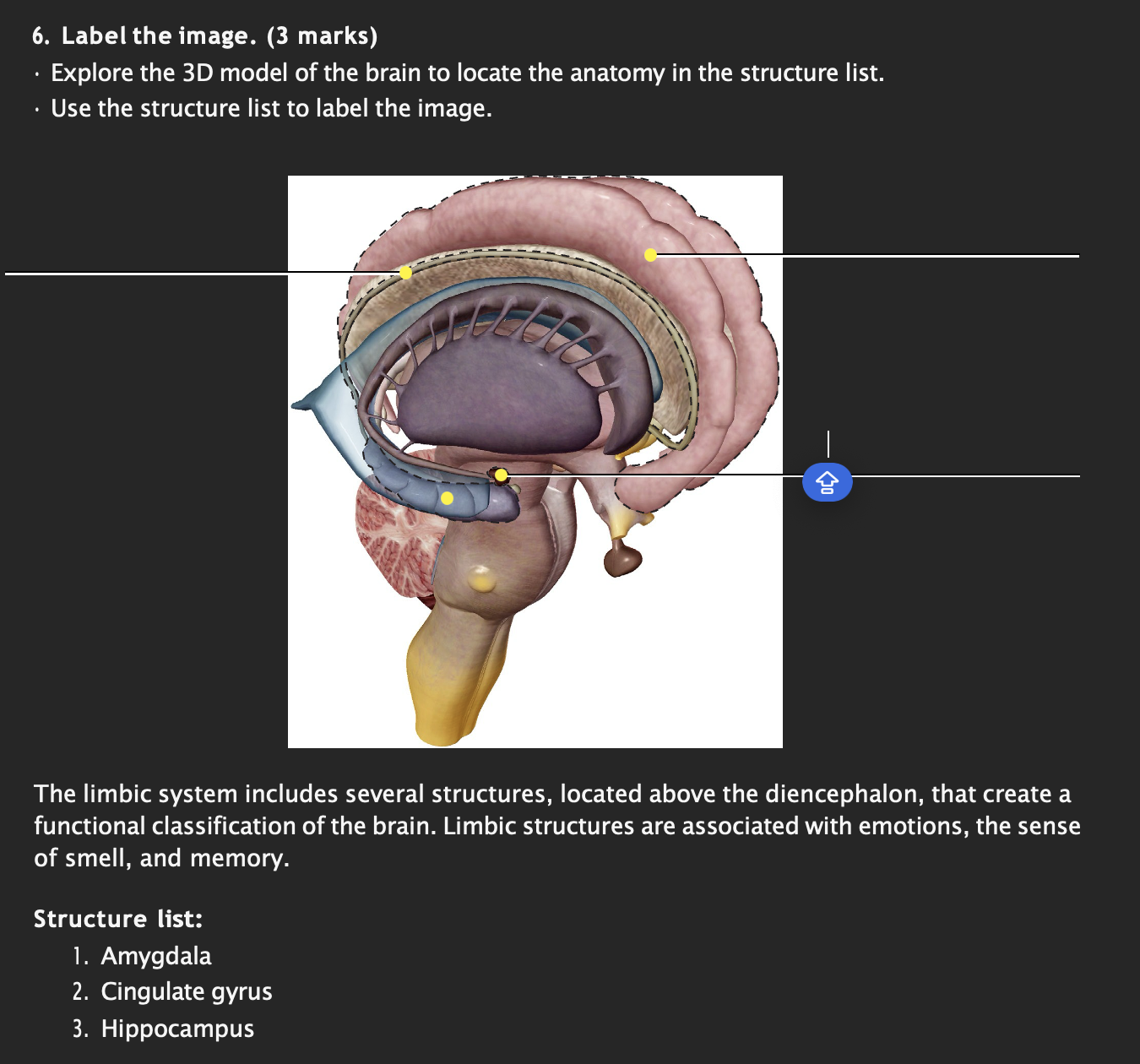 Solved The limbic system includes several structures, | Chegg.com