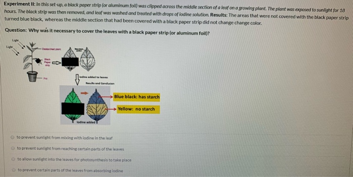 Solved xperiment II: In this set-up, a black paper strip (or | Chegg.com