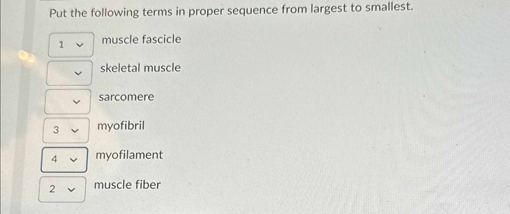 Solved Put the following terms in proper sequence from | Chegg.com