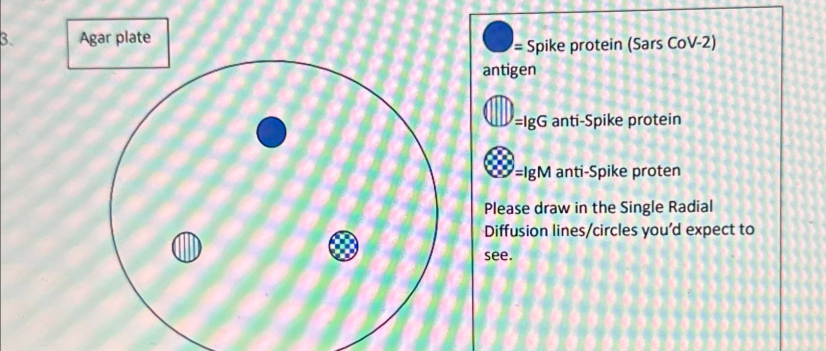 Solved = ﻿Spike protein (Sars CoV-2) ﻿antigen(11) =IgG | Chegg.com