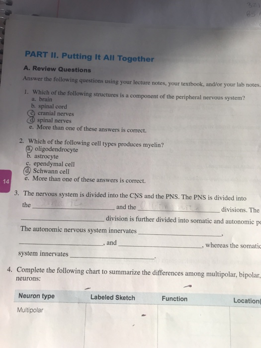 Solved 321 PART II. Putting It All Together A. Review | Chegg.com