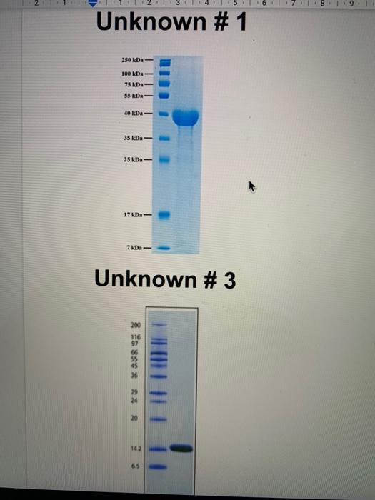Solved identify the unknow samples according to the list of | Chegg.com