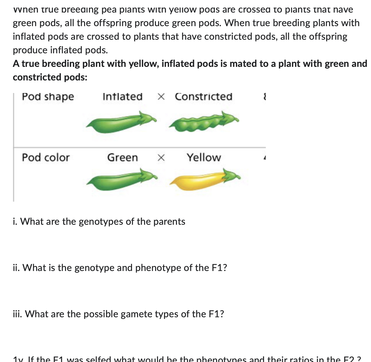 Solved when true breeding pea plants witn yellow pods are | Chegg.com