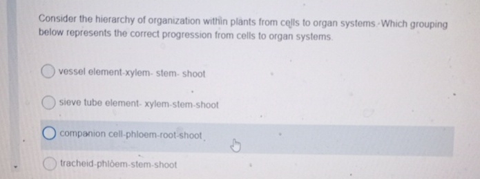 Solved Consider the hierarchy of organization within plants | Chegg.com