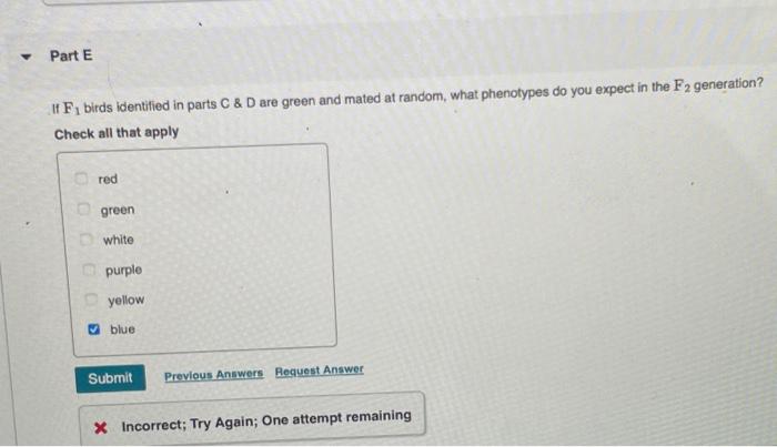 Solved What is the genotype of a pure-breeding purple | Chegg.com