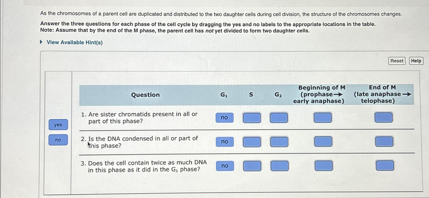 Solved As the chromosomes of a parent cell are duplicated | Chegg.com