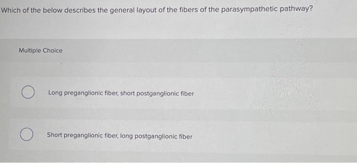 Solved Which of the below describes the general layout of | Chegg.com