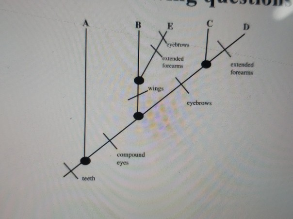 Solved use the diagrams attached! 1 What is/are the | Chegg.com