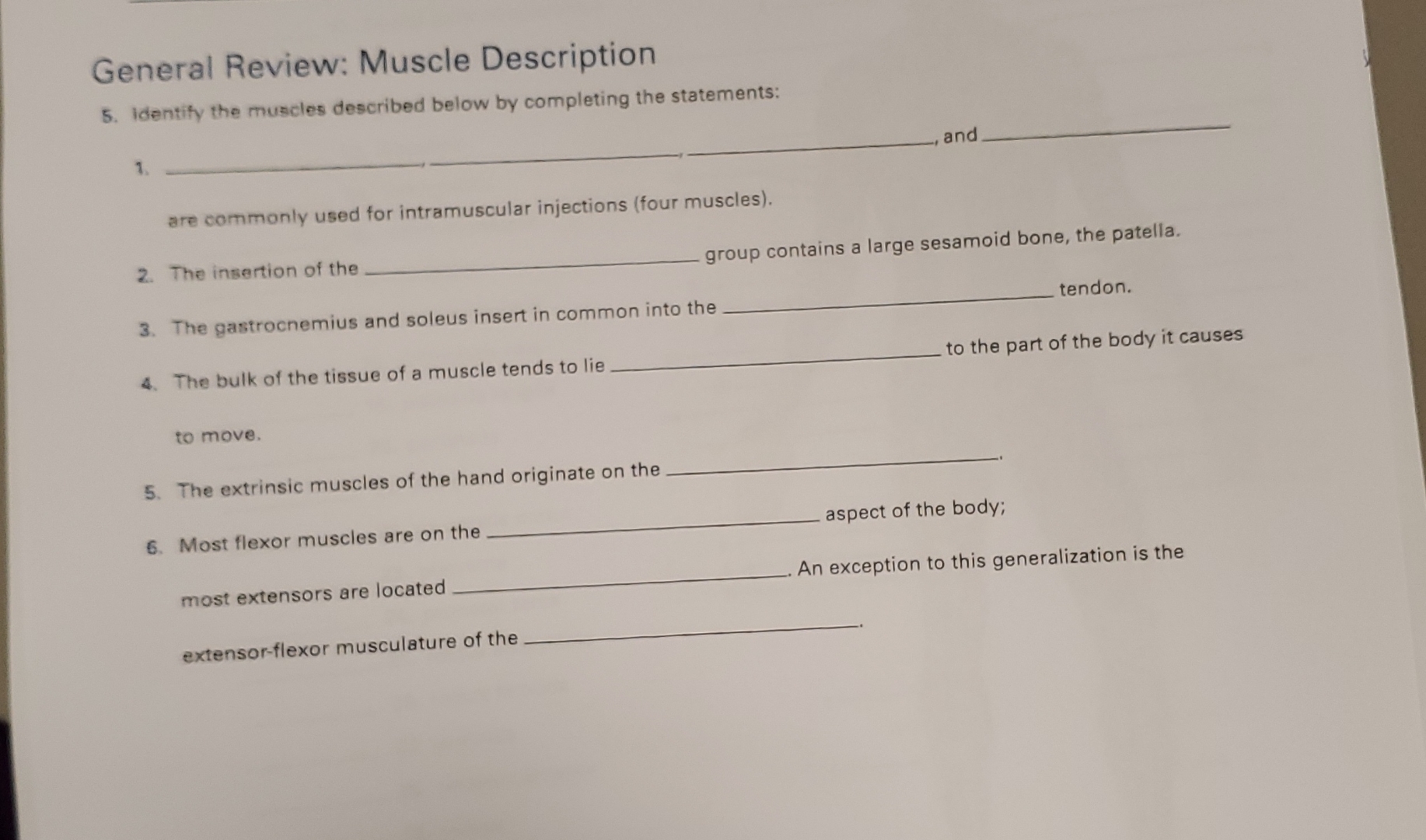 Solved General Review: Muscle Description5. ﻿Identify the | Chegg.com