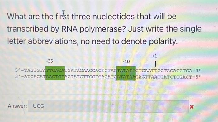 [Solved]: What are the first three nucleotides that will be