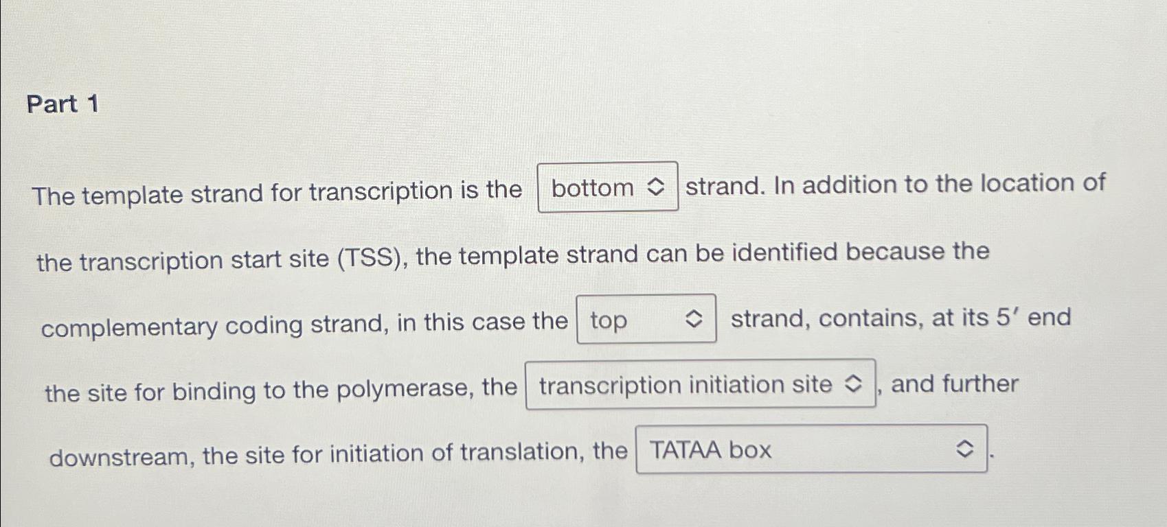 Solved Part 1The template strand for transcription is the | Chegg.com