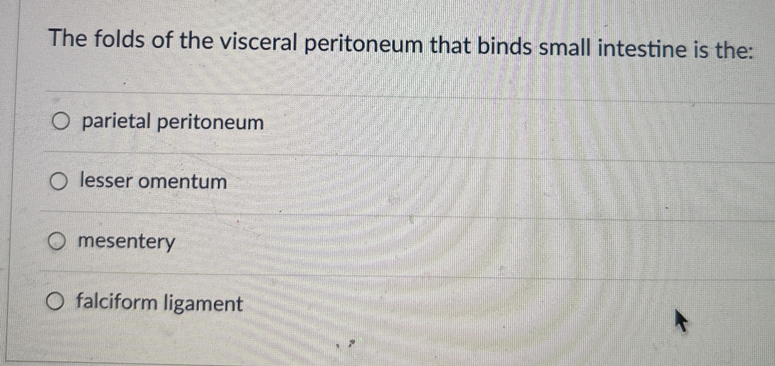 Solved The folds of the visceral peritoneum that binds small | Chegg.com