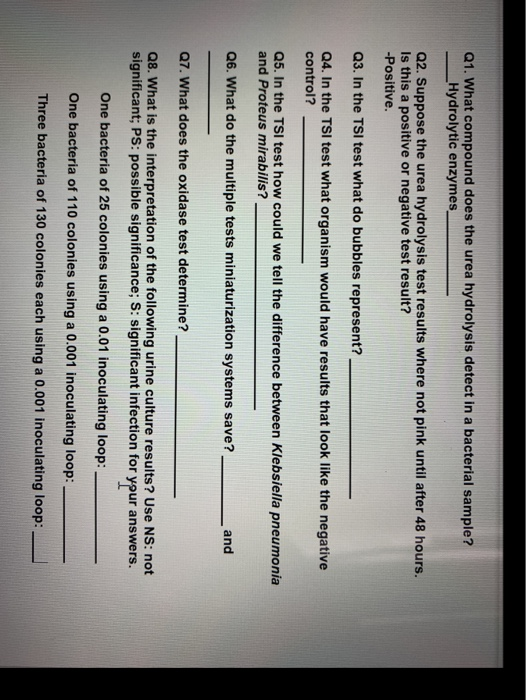 Solved Q1. What compound does the urea hydrolysis detect in | Chegg.com