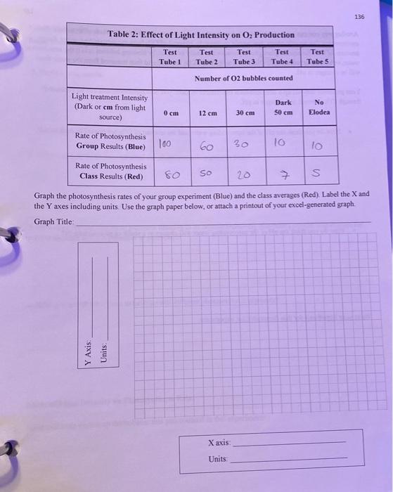 Solved Graph the photosynthesis rates of your group | Chegg.com