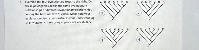 Solved 5. Examine the four evolutionary trees to the right. | Chegg.com