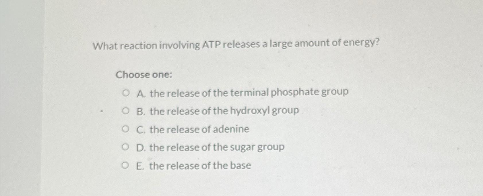 Solved What reaction involving ATP releases a large amount | Chegg.com