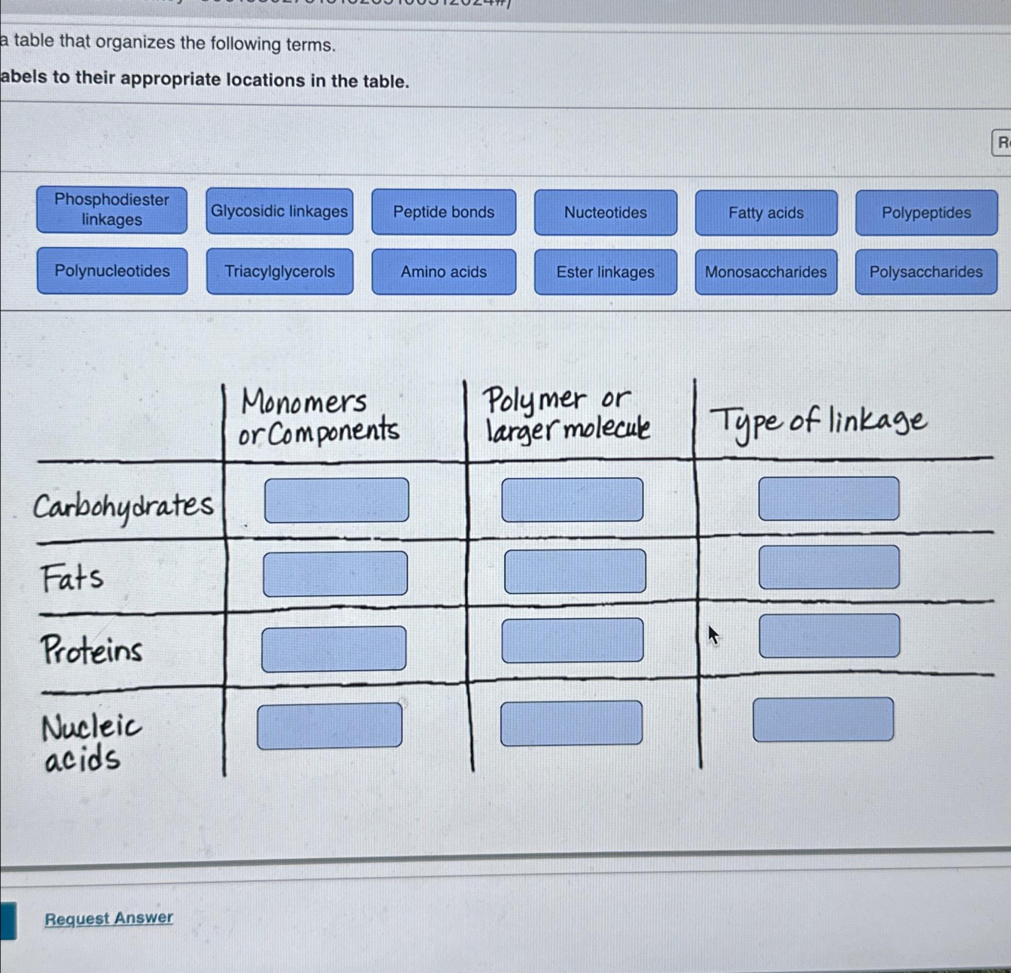 Solved a table that organizes the following terms.abels to | Chegg.com