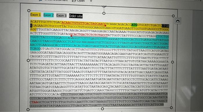 Solved Predict the length in base pairs (bp) of all DNA | Chegg.com