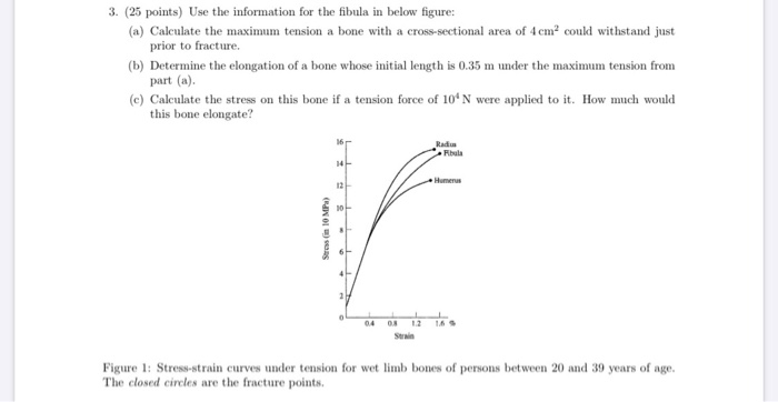 Solved 3. (25 points) Use the information for the fibula in | Chegg.com