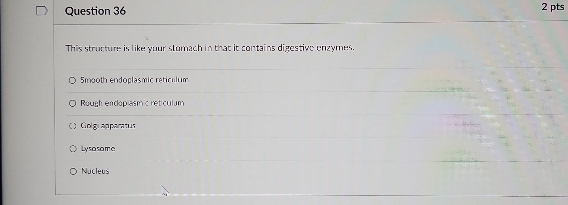 Solved Question 362 ﻿ptsThis structure is like your stomach | Chegg.com