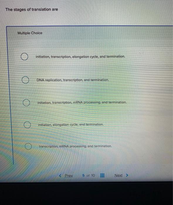 Solved The stages of translation are Multiple Choice | Chegg.com