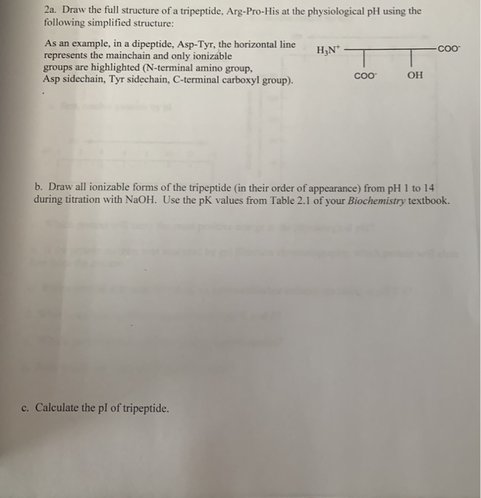 Solved 2a. Draw the full structure of a tripeptide, | Chegg.com