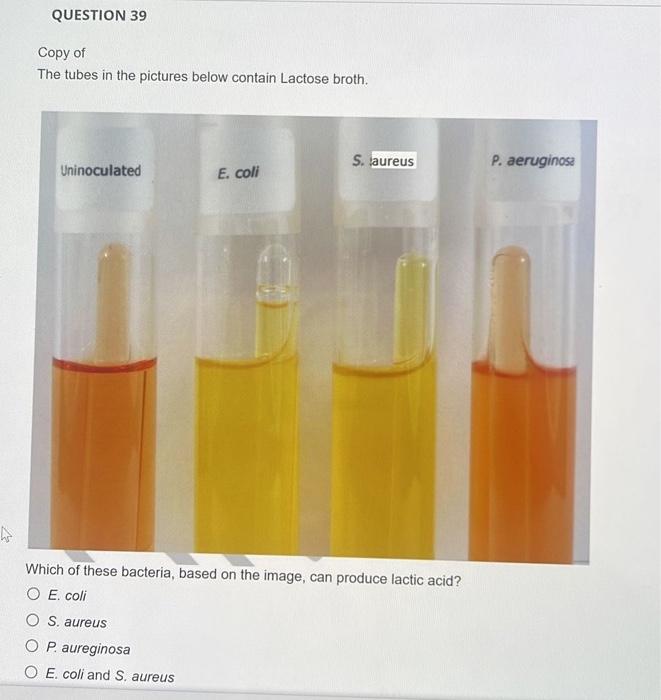 Solved Copy of The tubes in the pictures below contain | Chegg.com