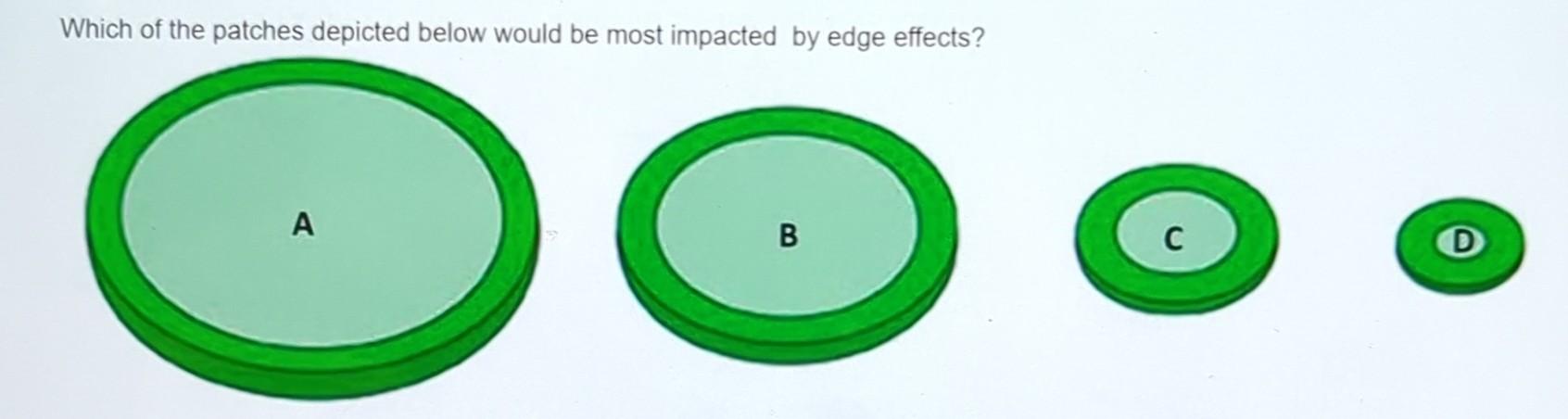 Solved Which of the patches depicted below would be most | Chegg.com
