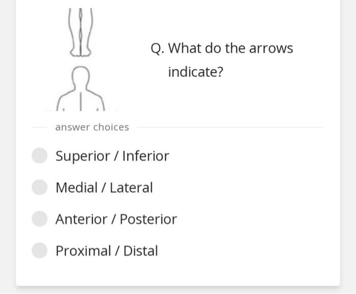 Solved s! Q. What do the arrows indicate? answer choices | Chegg.com
