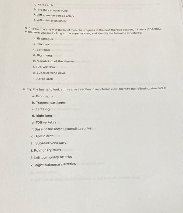 oss section (Inferior view) Manubrium of sternum sht | Chegg.com