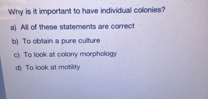Solved Why is it important to have individual colonies? a) | Chegg.com