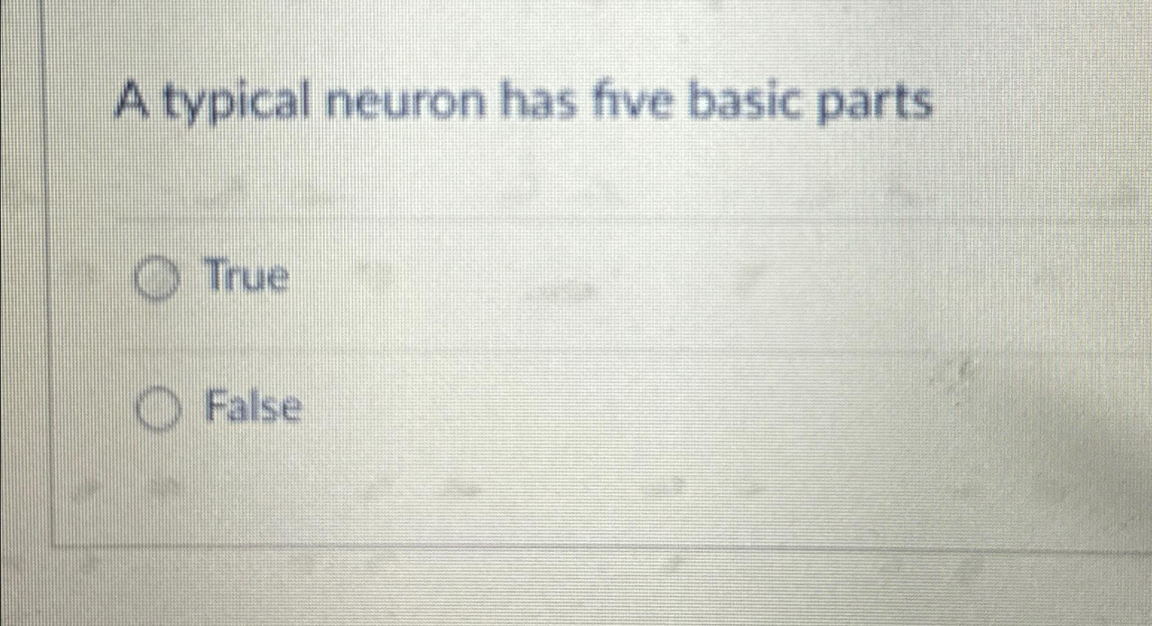 Solved A typical neuron has five basic partsTrueFalse | Chegg.com