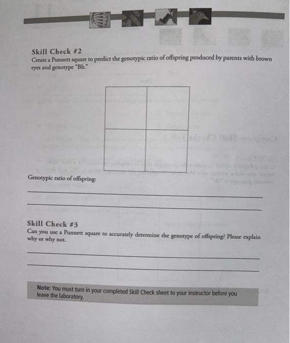 Solved Complete Skill Checks 1-3. Skill Check #1 Create a | Chegg.com