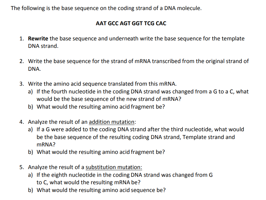 Solved The following is the base sequence on the coding | Chegg.com