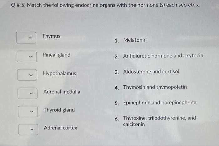 Solved Q#5. Match the following endocrine organs with the | Chegg.com