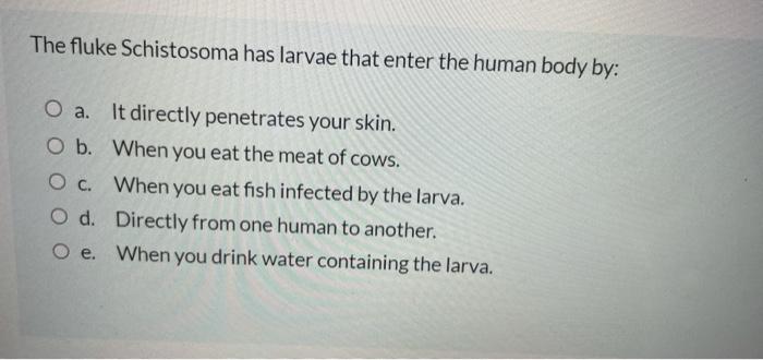Solved Cnidaria larvae are: O a. Parasites of snails. O b. | Chegg.com