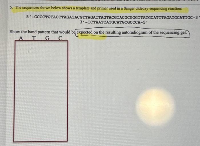 Solved 5. The sequences shown below shows a template and | Chegg.com
