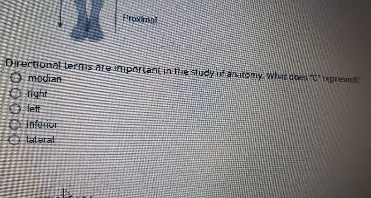 Solved QUESTION 193 A. B. Midline Superior (Cephalic) | Chegg.com