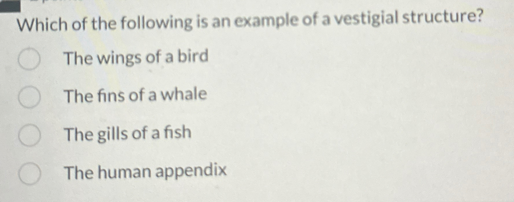 Solved Which of the following is an example of a vestigial | Chegg.com