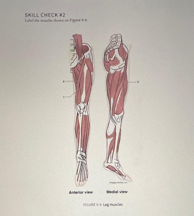 Solved Complete skall checks 1-3. SKILL CHECK #1 Label the | Chegg.com