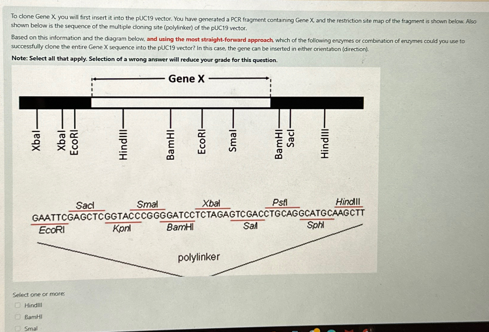 Solved To clone Gene X. ﻿you will first insert it into the | Chegg.com