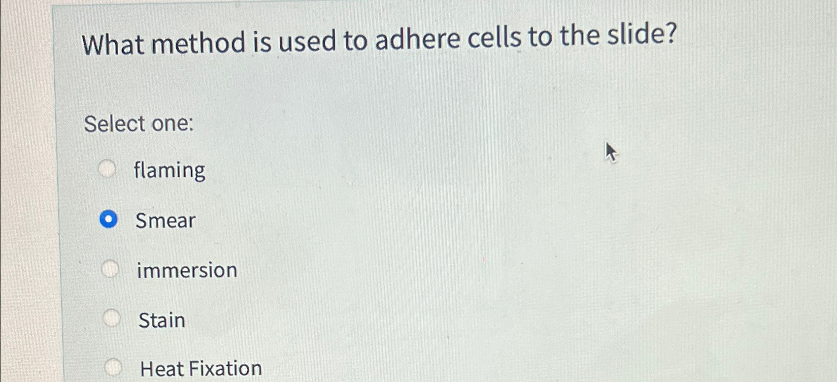 Solved What method is used to adhere cells to the | Chegg.com