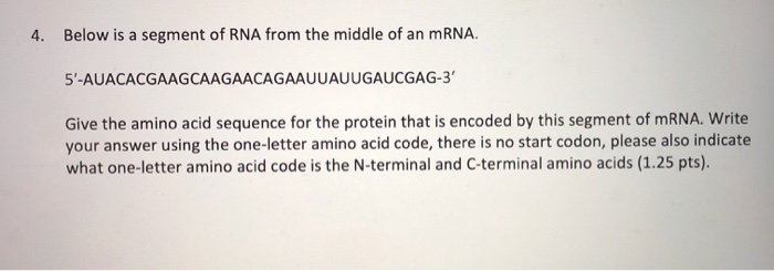 Solved 4. Below is a segment of RNA from the middle of an | Chegg.com