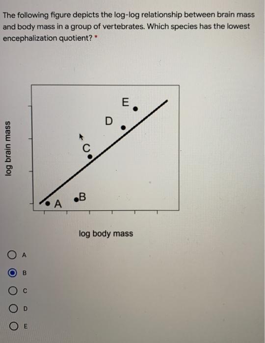Solved The following figure depicts the log-log relationship | Chegg.com