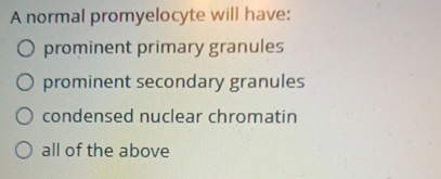 Solved A normal promyelocyte will have:prominent primary | Chegg.com