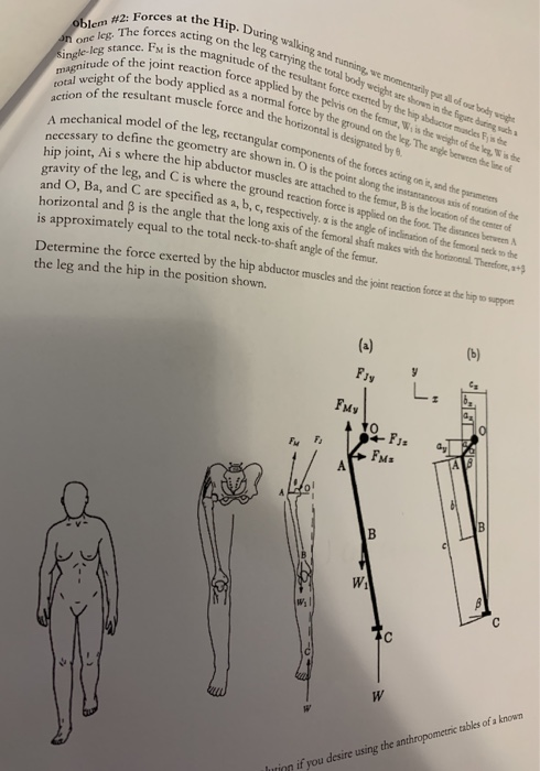 Solved oblem #2: Forces at the forces acting on the leg | Chegg.com